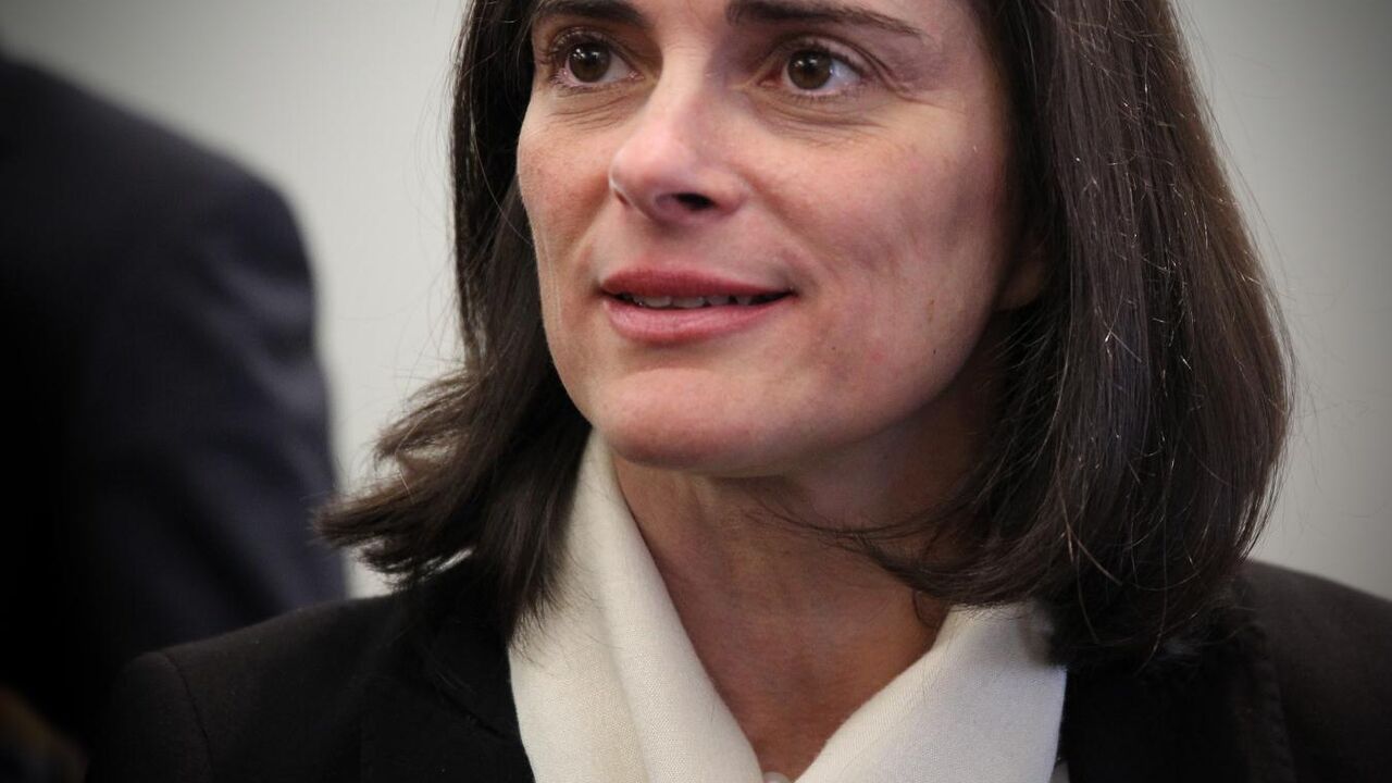 Isabel Vaz: Nunca se tinha assistido a uma disputa tão grande por uma ...