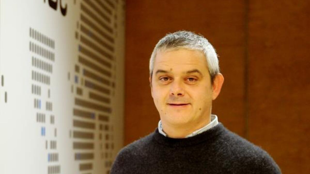 Para onde vai o mobile da Timwe? Índia e Qatar - Tecnologias - Jornal ...