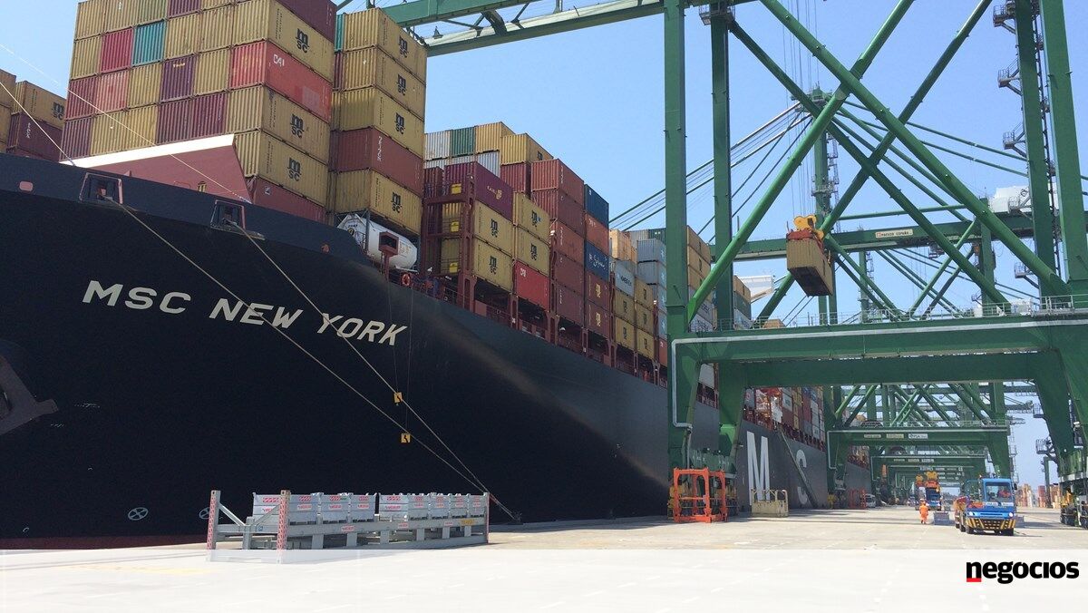 Sines volta a receber gigante dos mares, uma semana depois do Zoe ...
