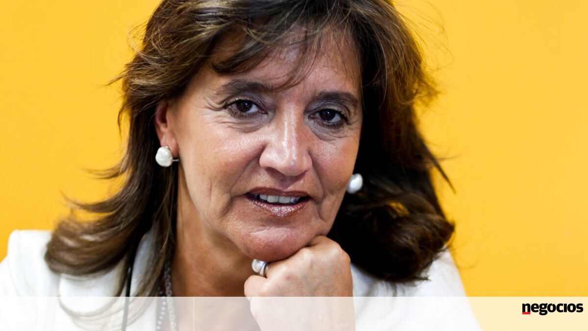 Maria João Valente Rosa: A promoção da literacia digital é uma missão ...