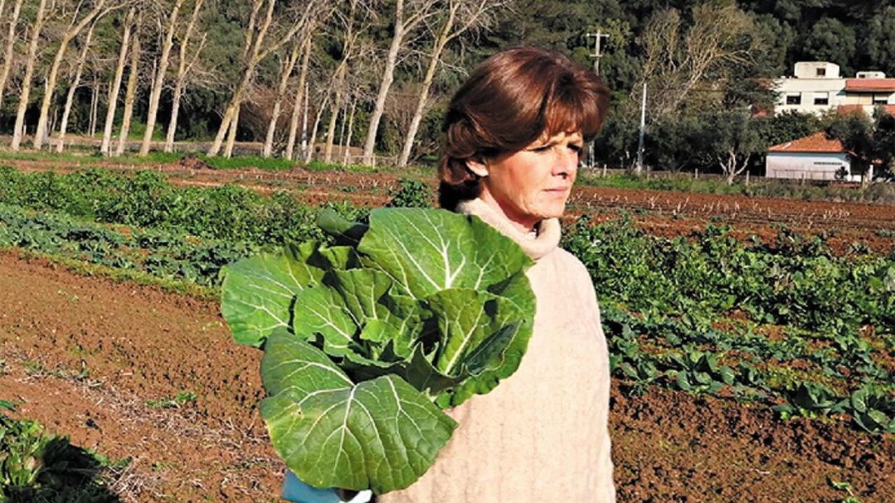 Associação BIPP - Inclusão para a Deficiência: Semear o futuro ...