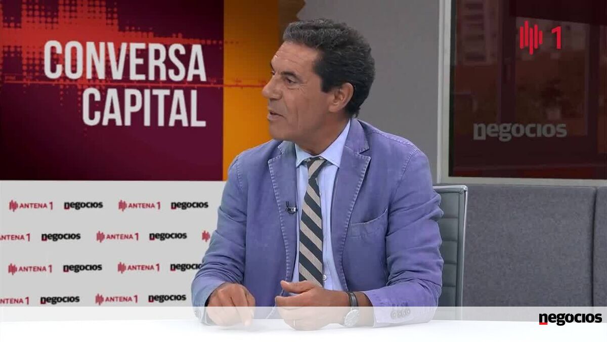 Entrevista na íntegra a Nuno Ribeiro da Silva, presidente Endesa em ...