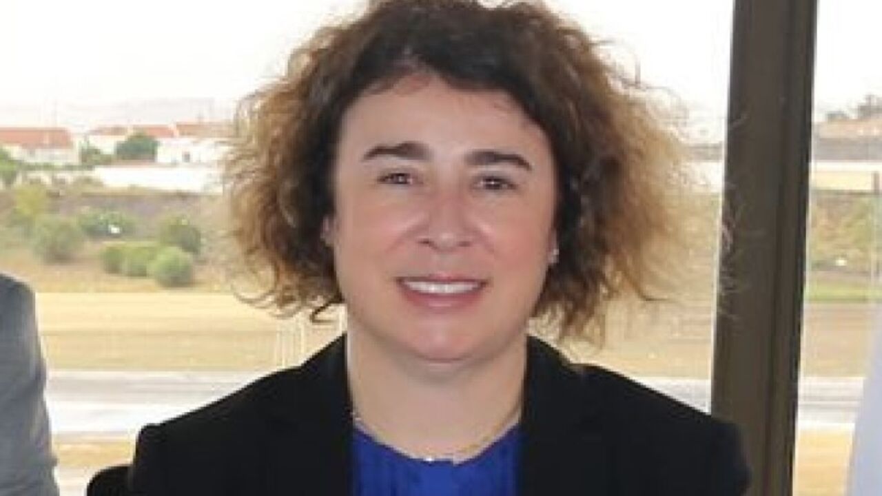 Alexandra Reis aterra no Governo com 500 mil euros de indemnização paga ...