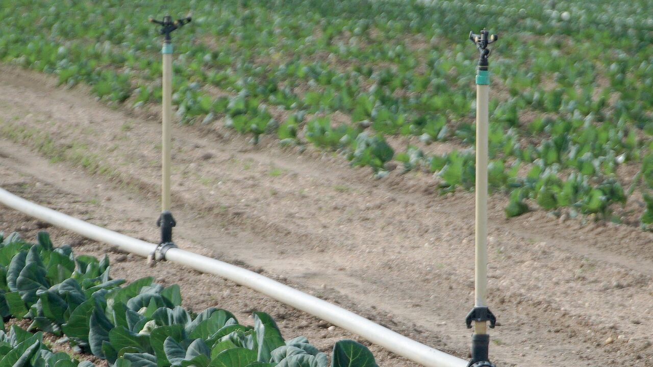 Sustentabilidade hídrica na agricultura - Ambiental - Jornal de Negócios