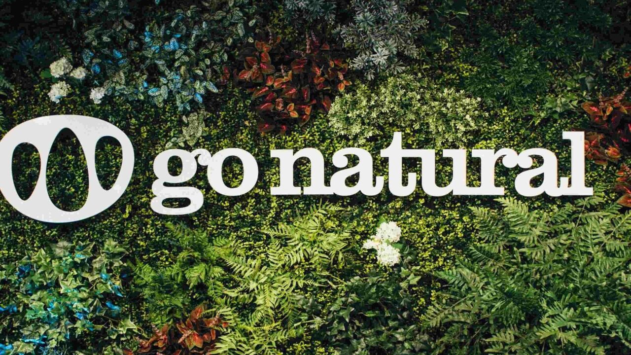 Sonae encerra supermercados Go Natural até ao final de janeiro ...