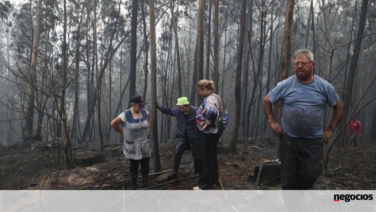 O filme dos incêndios a 19 de setembro - Fotogalerias - Jornal de Negócios